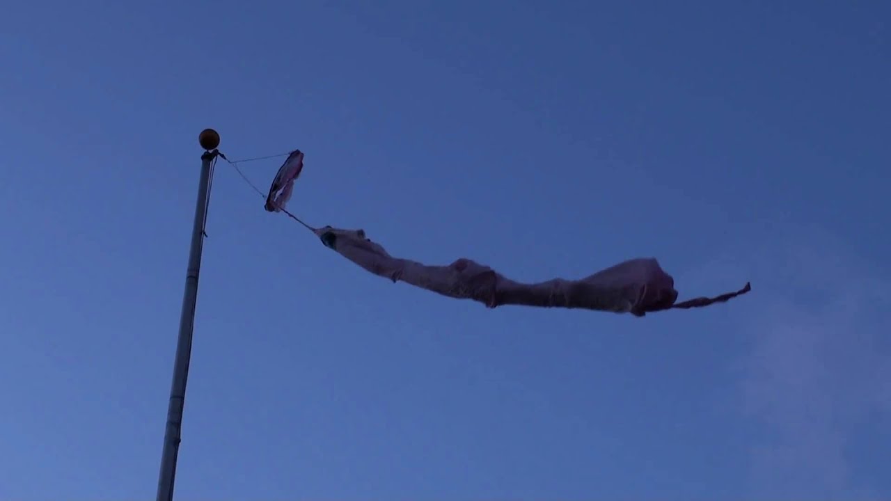 May our old friend, the Giant Pig Windsock, Rest in Piece at Gift of ...