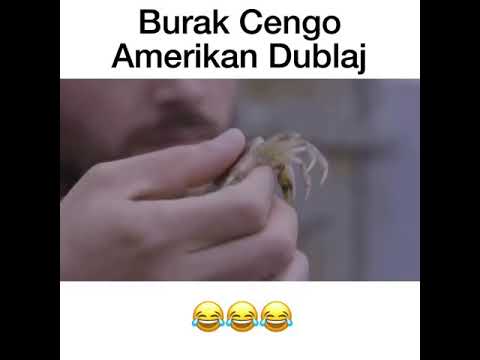 01 amerikan dublaj