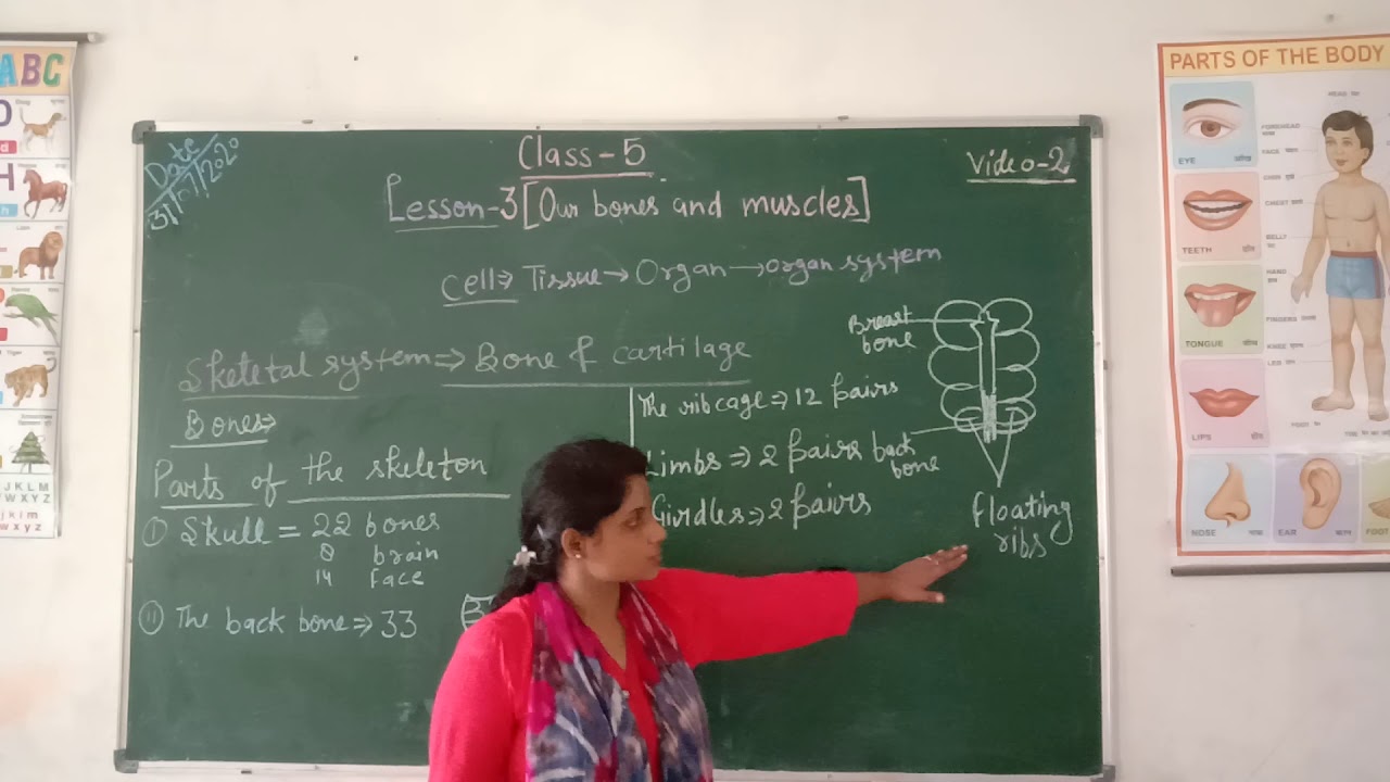 CLASS 5 SCIENCE LESSON 3 VIDEO 2 - YouTube