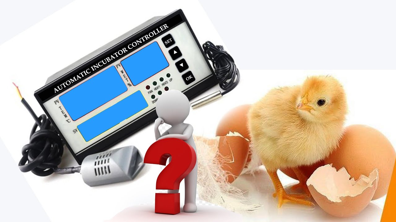 How to easily fix incubator problematic LCD | Incubator Display doesn't ...