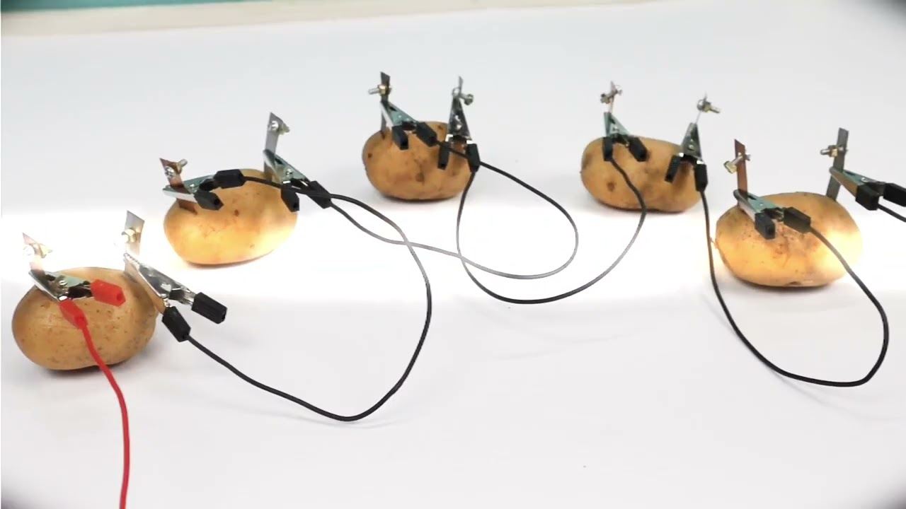 A Potato Battery | Power generation using potato | Potato Power - YouTube