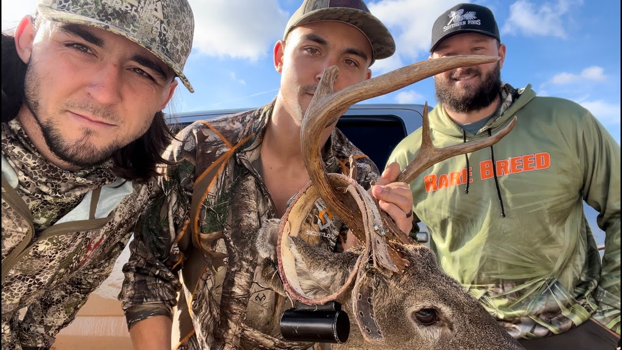 Buck with a Collar?? - 11 year old Alabama Public Land Buck - YouTube