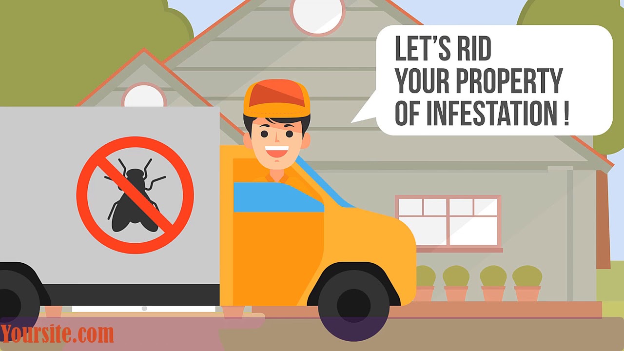 Pest Control 2d Animated Promo Video - YouTube