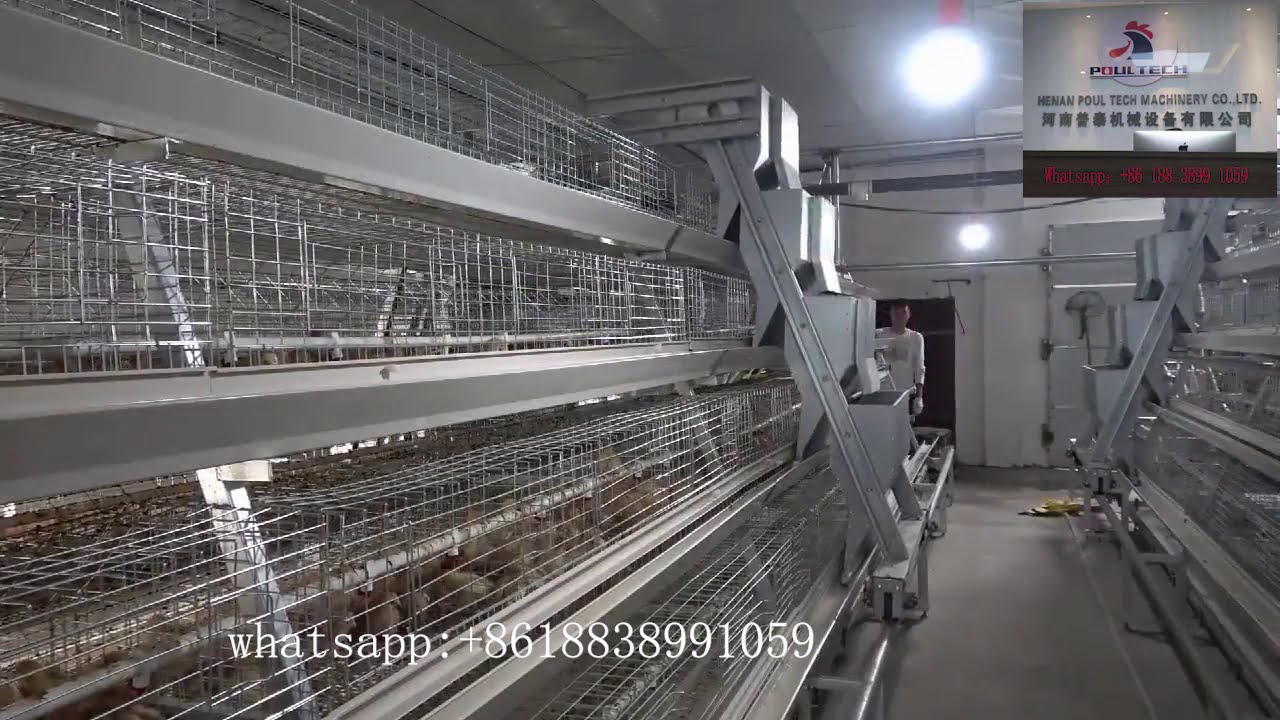 A type layer cage introduction - YouTube