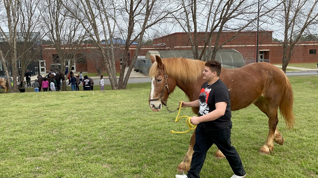 Equine Assisted Activities for youth - Horses Healing the Hood - YouTube