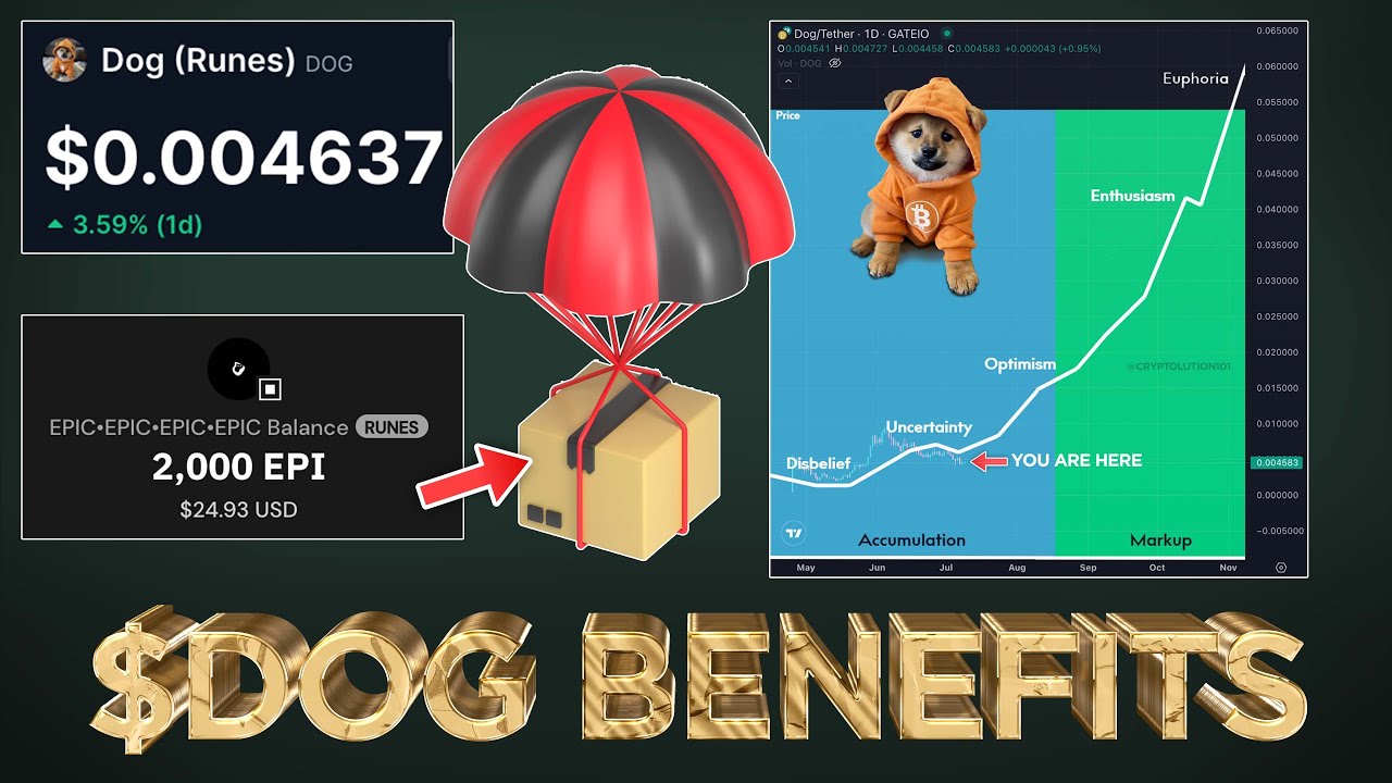 $DOG Holders receive Free Rune Airdrop 💸 - YouTube