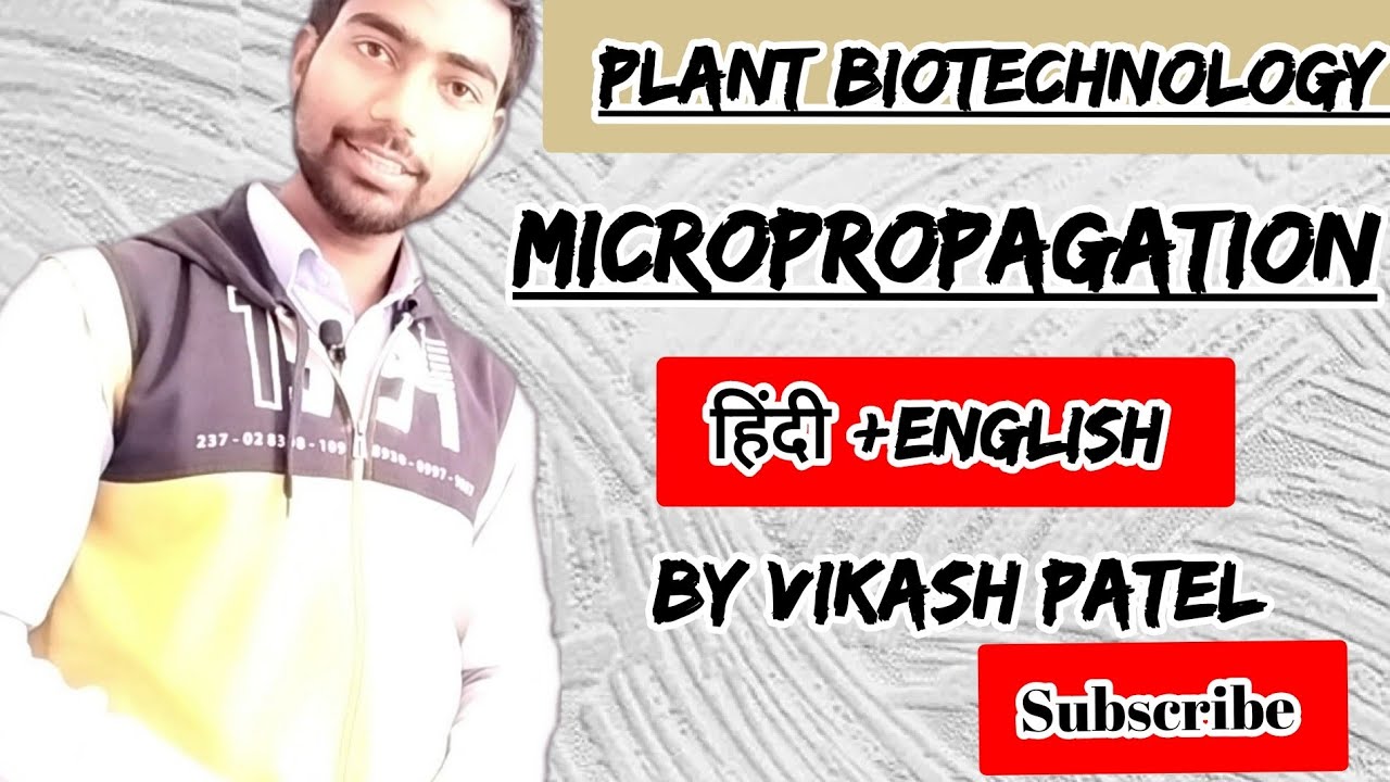 Micropropagation Hindi Full Information Lecture By Vikash Patel Krishi Tutotial