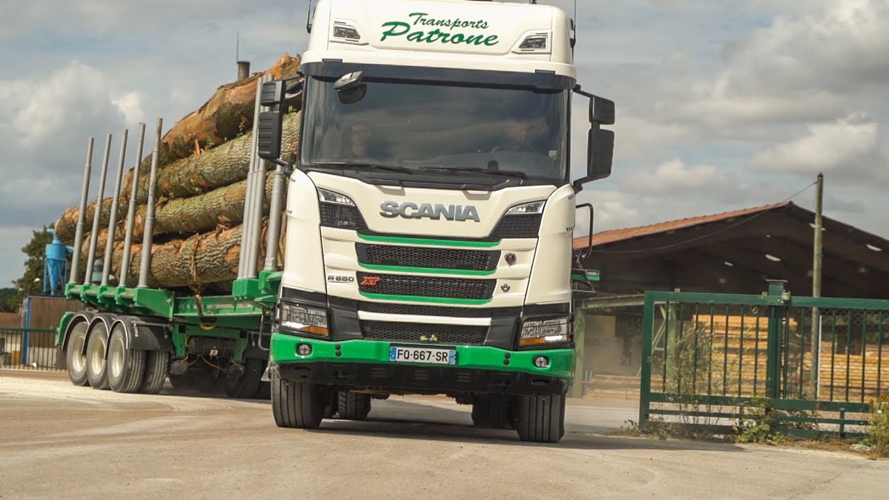 SCANIA R650XT V8 🚚💨 🌲 GRUMIER FRIEDERICH (TRANSPORTS PATRONE) - YouTube