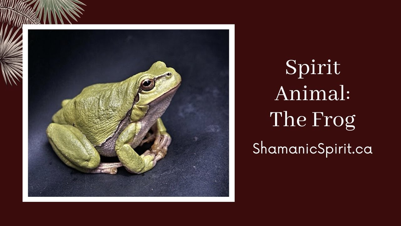 Animal Spirit Guide: The Frog (Shamanic Power Animal). Frog Symbolism ...