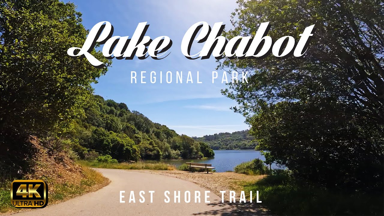Walking Tour | Lake Chabot: East Shore Trail in Castro Valley, CA [4K ...