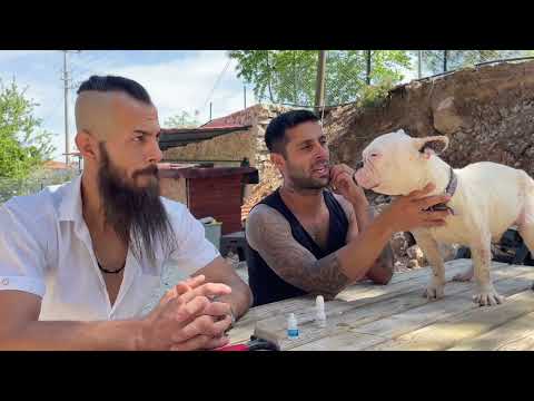 FRENCH BULLDOG ROCKYi NATUREL YOLLA TEDAVİ EDİYORUM VE YASİN?