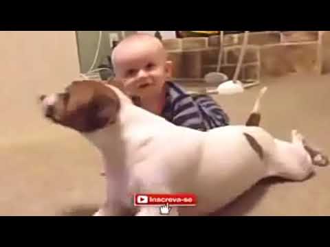 Quando tiver vendo este video você vai pro banheiro urina