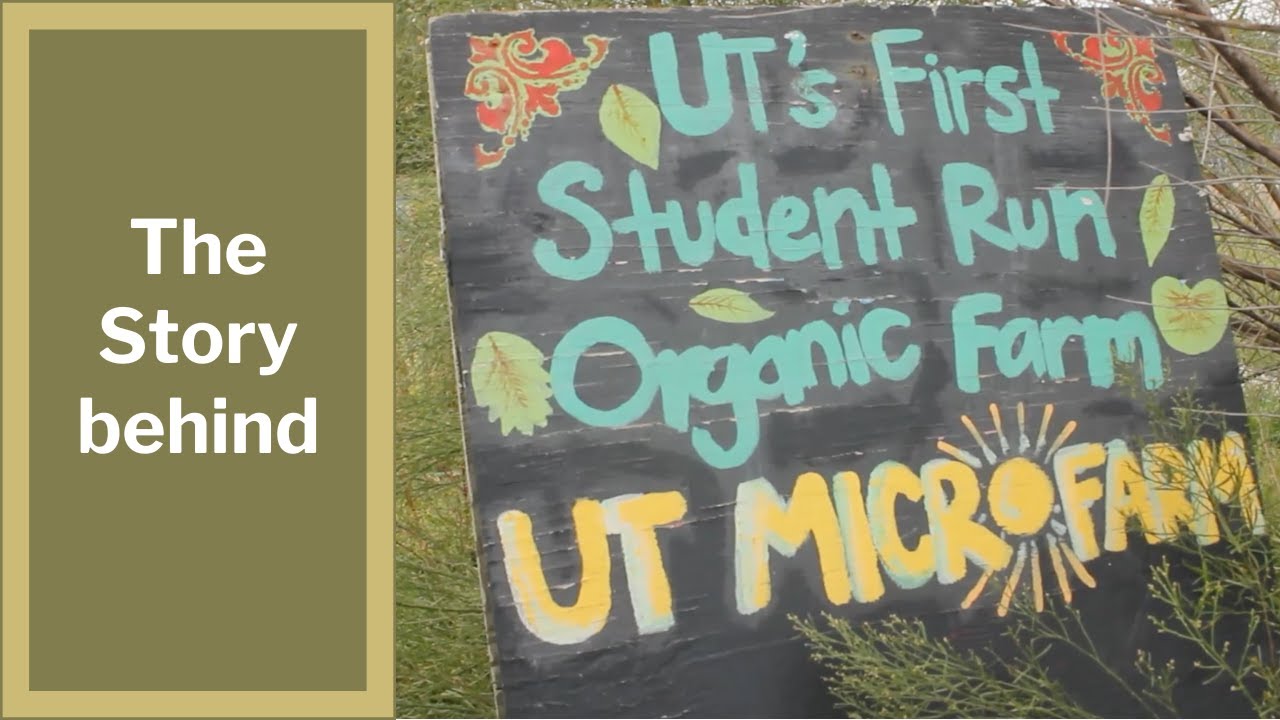 The Story Behind UT’s First Student Run Farm - YouTube