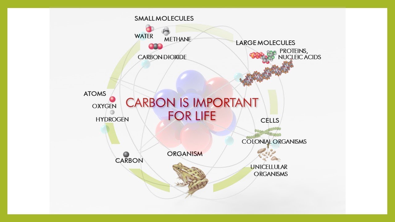 BIOCHEMISTRY:Structure of Atoms,Molecules & Chemical Bonds-Part II CSIR ...