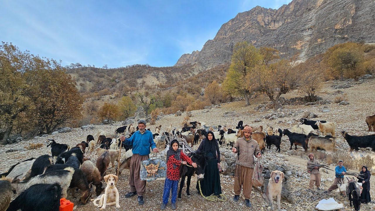 Unbelievable Nomad Mountain Life — Goat Herding, Firewood Gathering ...