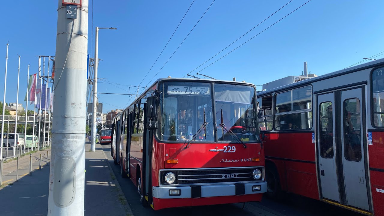 Ikarus 280T 229 BKK, Budapest, Line 75 - YouTube