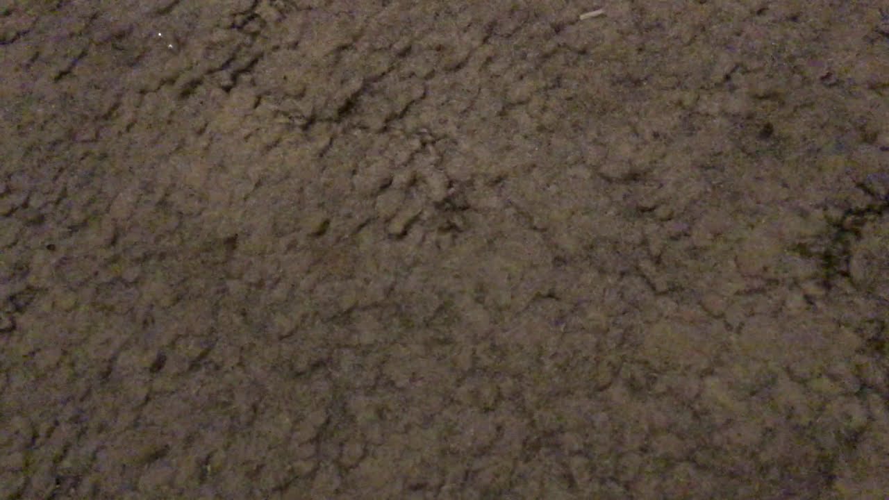 My mini bin collection (new bins coming soon) - YouTube