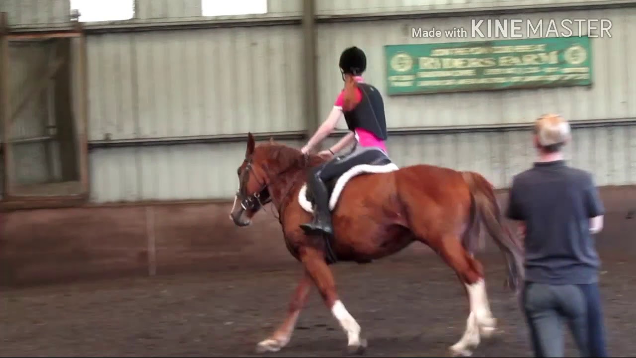 Flatwork with Billy at Ryders Farm :) - YouTube