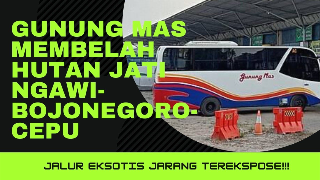 Eksotis, Bus Gunung Mas Membelah Hutan Jati Ngawi-Bojonegoro-Cepu # ...