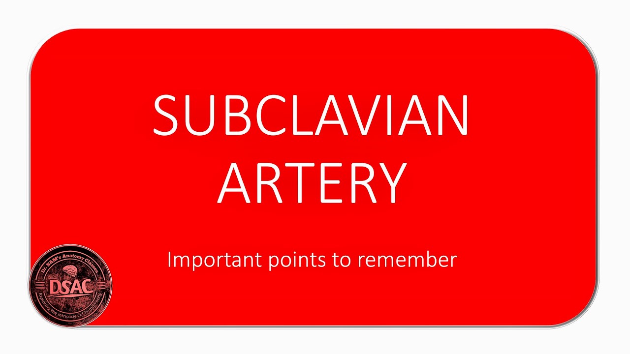 Subclavian artery - Important points to remember | Branches of ...
