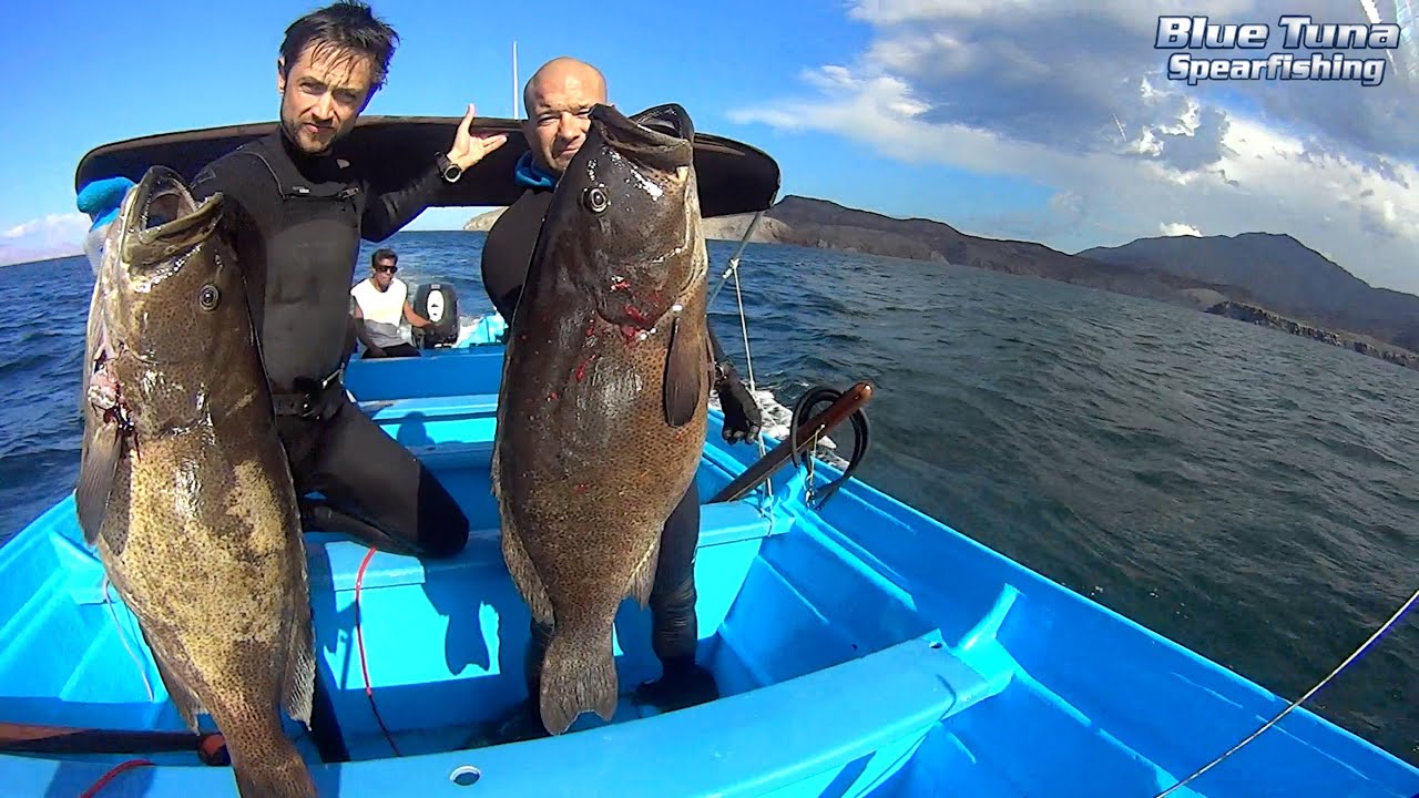 Spearfishing Baja BOLA - YouTube