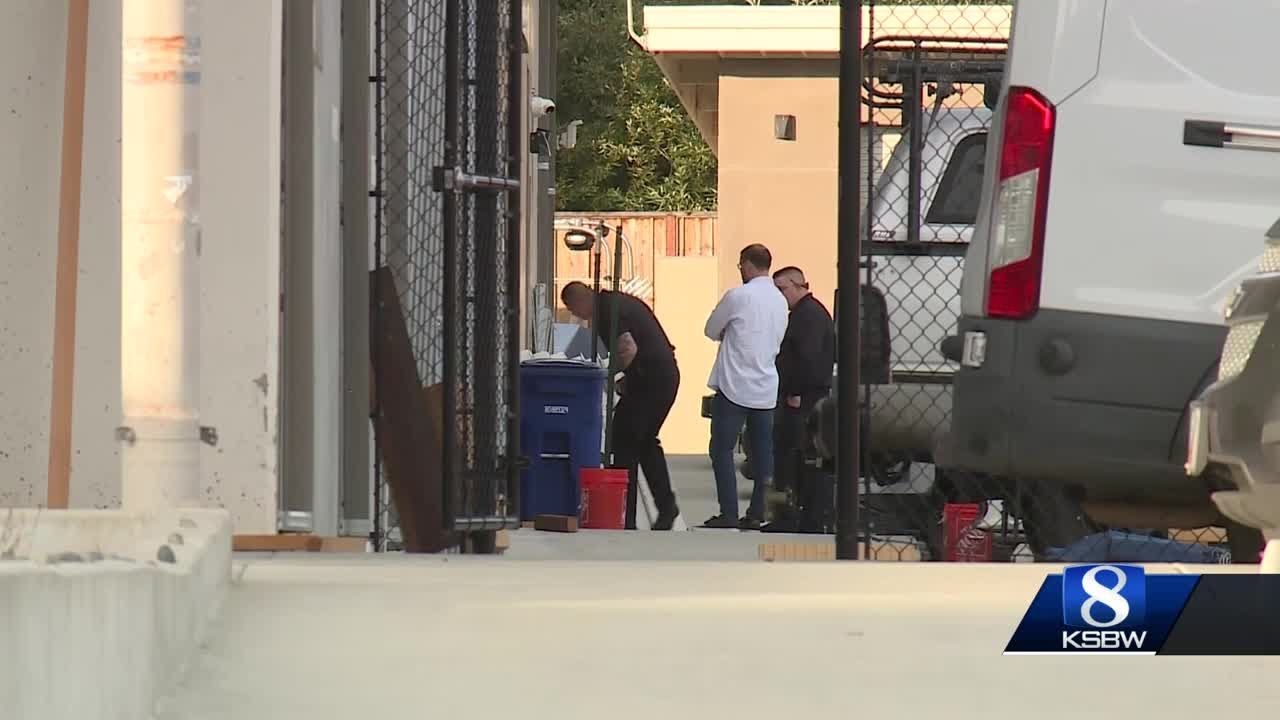 Santa Cruz cannabis business owner chases thieves, arrested for ...