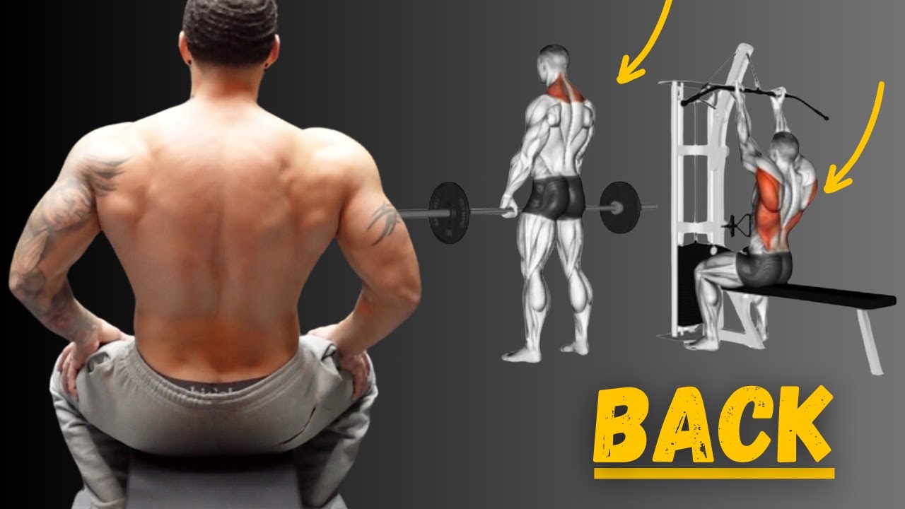 8 Exercises To Give You The PERFECT Back - YouTube