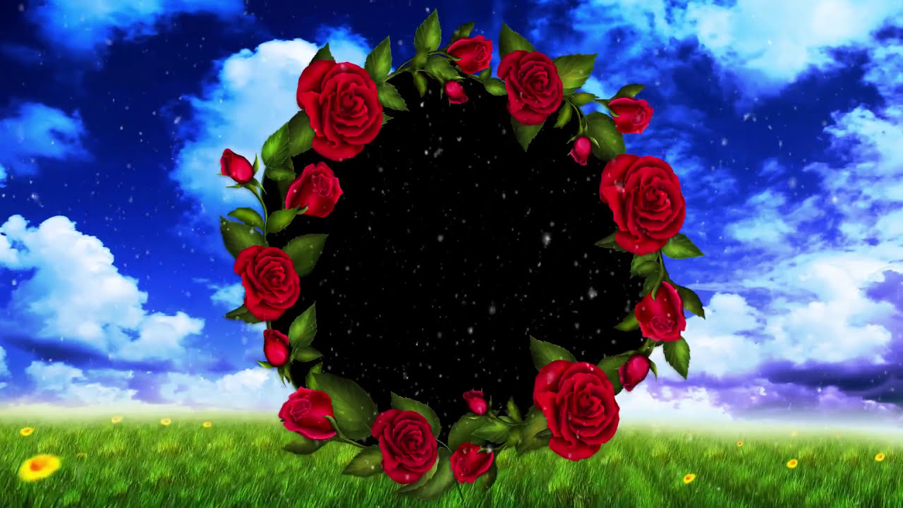 Wedding Motion Video Frame Effects HD - YouTube