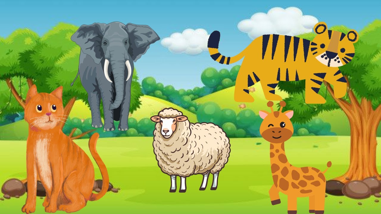 Learn ABC Animal Names For Toddlers, Zoo Animals Wild Animals With ...