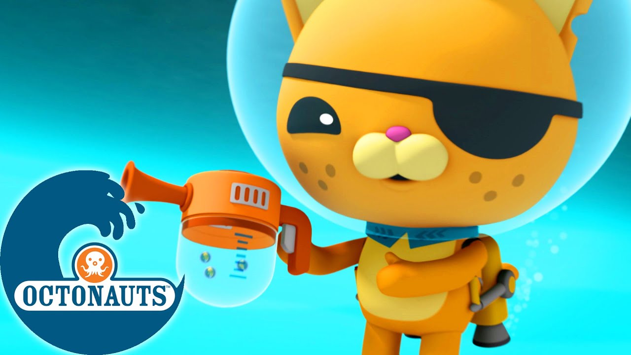 Octonauts - 🥚 Sauvetage des œufs de l'opisthognathe ⛑️ | Saison 2 ...
