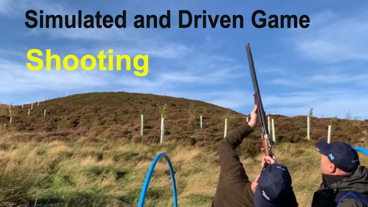 Driven Game and Simulated Shooting - YouTube