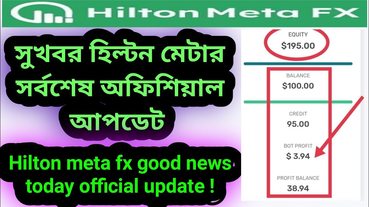 Good news Hilton meta fx today official update BBC news 2023 ! - YouTube