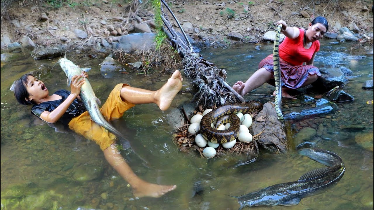 Catch big catfish & snake near river- Grilled catfish with spice so ...