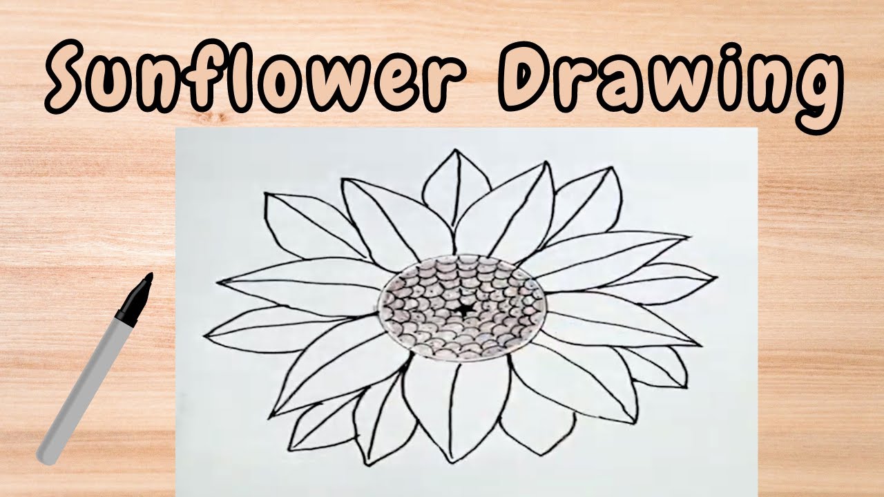 Sunflower drawing | How to draw Sunflower Step by Step | Easy Sunflower ...
