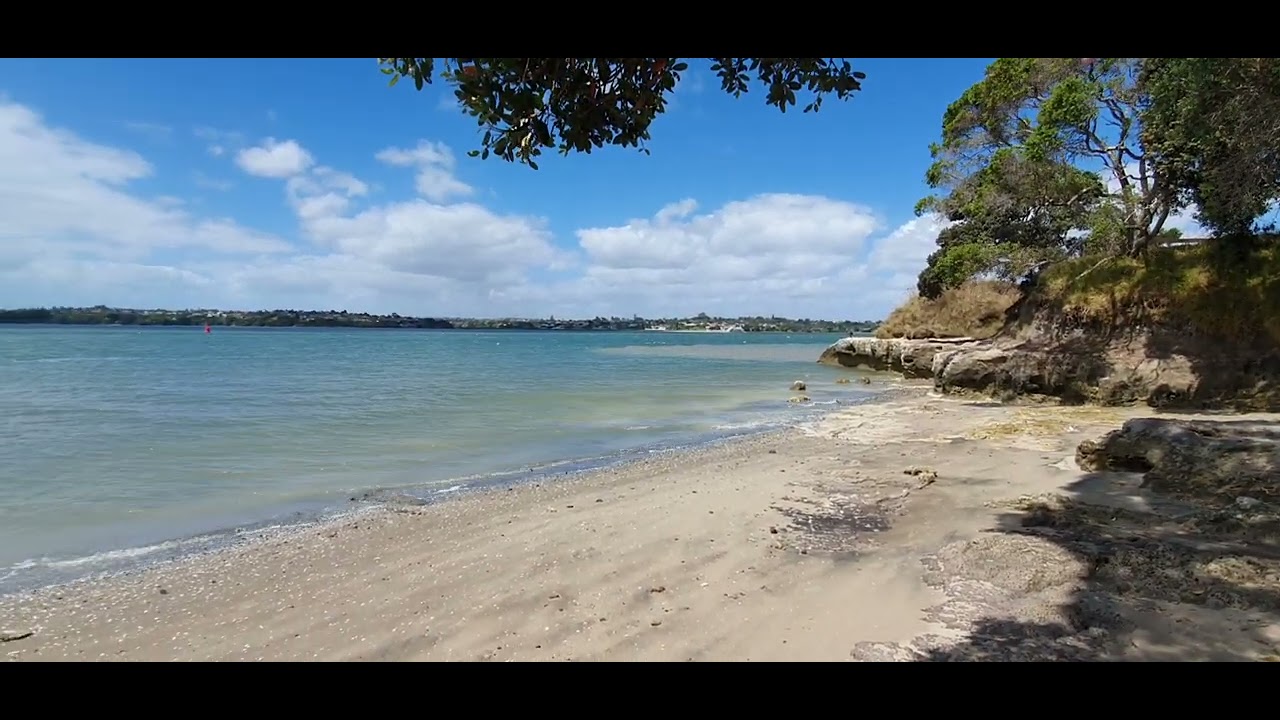 Point England Reserve Beach ⛱️ Auckland, New Zealand 🇳🇿 - YouTube