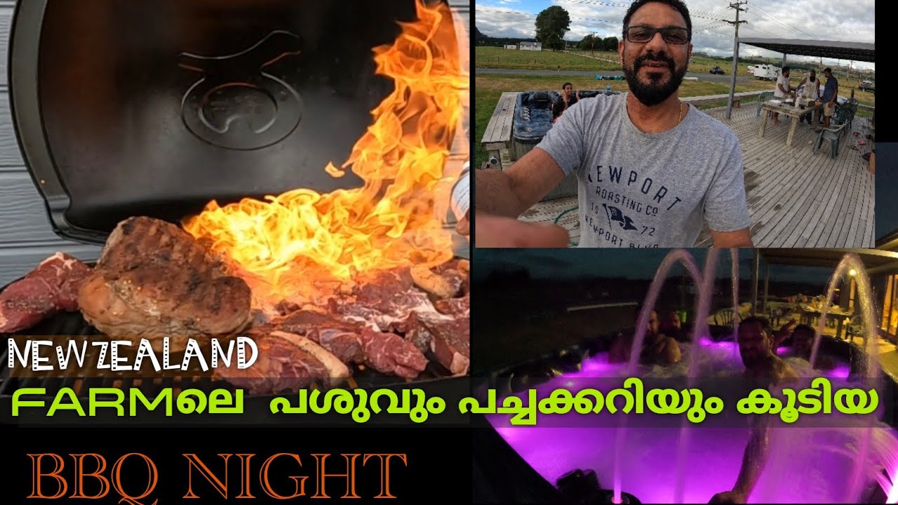 How to make an easy Kiwi BBQ|Steak Lamb BBQ|New Zealand Malayalam vlog ...