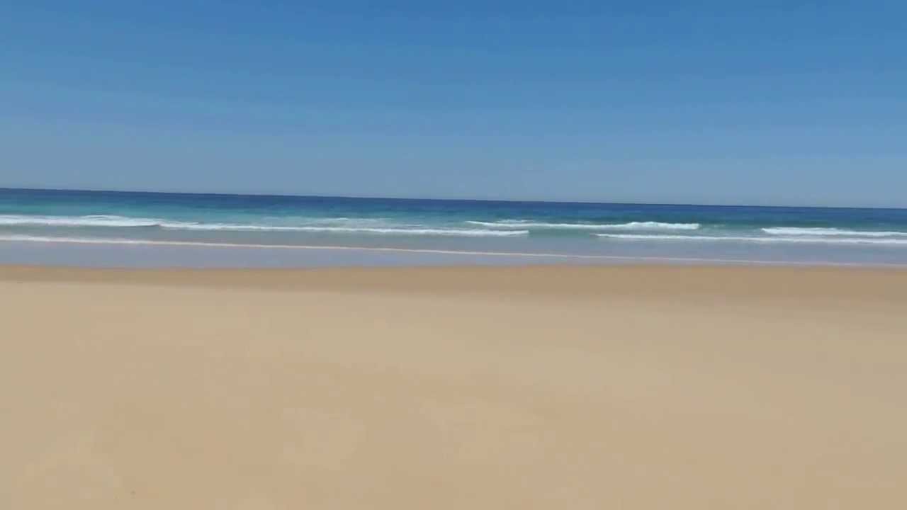 Dog Friendly Beach - Middle Head Beach, Grassy Head, NSW - dogexplorer ...