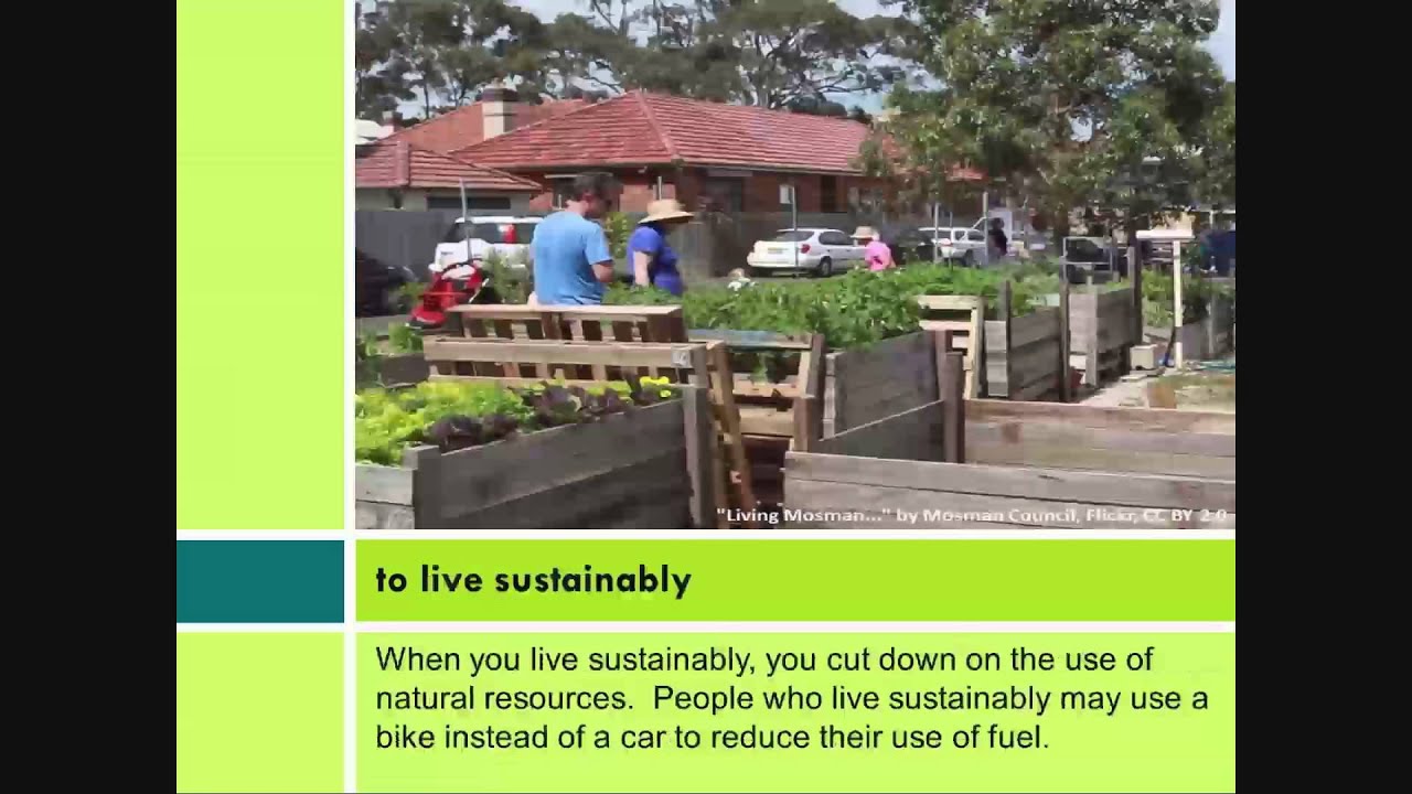 Contemporary World Problems: Solutions to Environmental Problems - YouTube