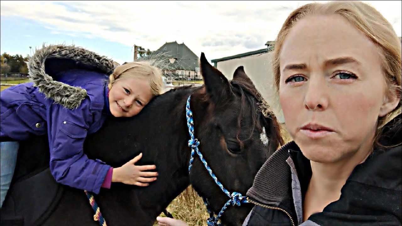 The Best Kind Of Dream Pony - YouTube