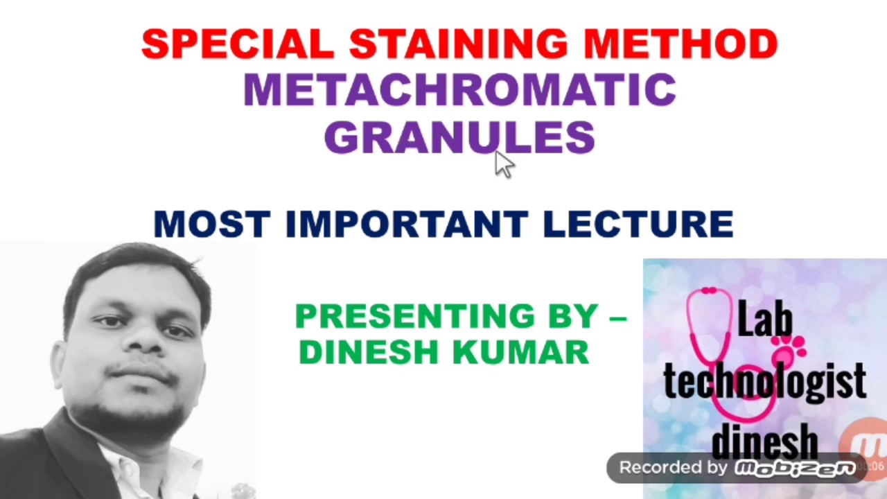 Special stain | Albert's stain for Metachromatic granules ...