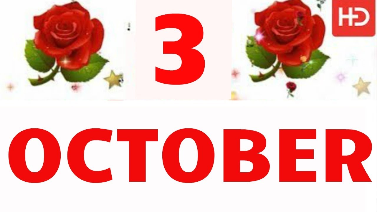 3 October Special New Birthday Status Video , happy birthday wishes ...