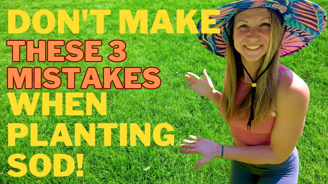 Avoid These 3 Mistakes When Installing Sod! - YouTube