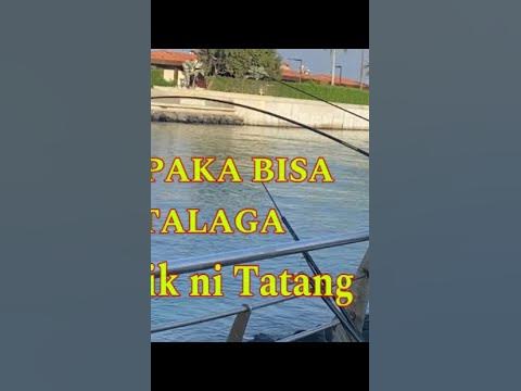 BIHIRA LANG MAKAHULI NG GANITONG KLASENG ISDA. MABISA TALAGA TEKNIK NI TATANG SA PANG HUHULI NG ...