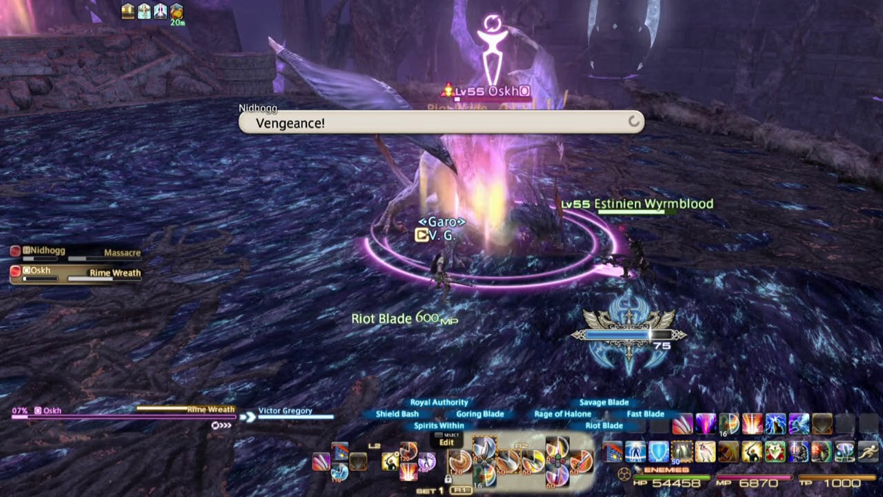 Final Fantasy XIV - The Aery (Nidhogg Fight) - Solo PLD - YouTube