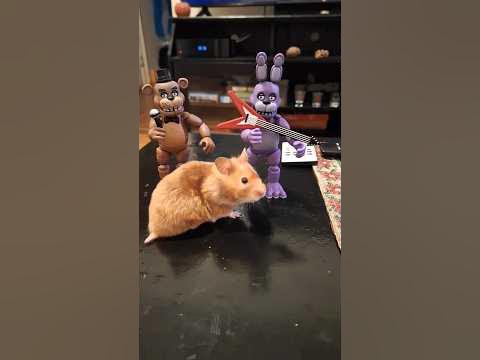 HAMSTER AT FIVE NIGHTS AT FREDDY'S #hamsterbabies #pets #cute #fnaf # ...
