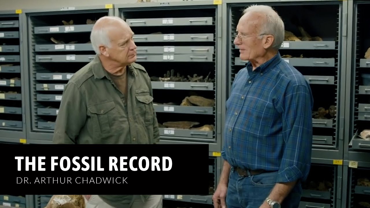 The Fossil Record // Dr. Arthur Chadwick - YouTube