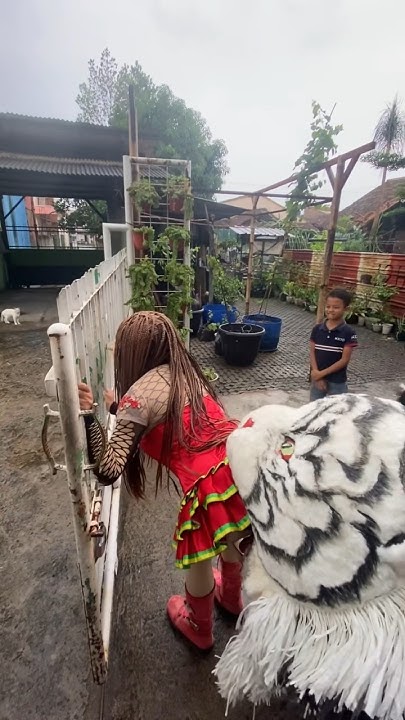 Bokon6 bety di gigit can macanan - YouTube