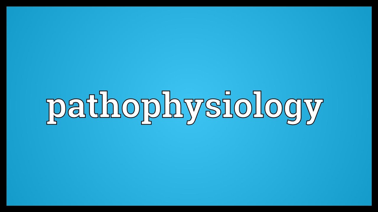 Pathophysiology Meaning YouTube pathophysiology-meaning-youtube