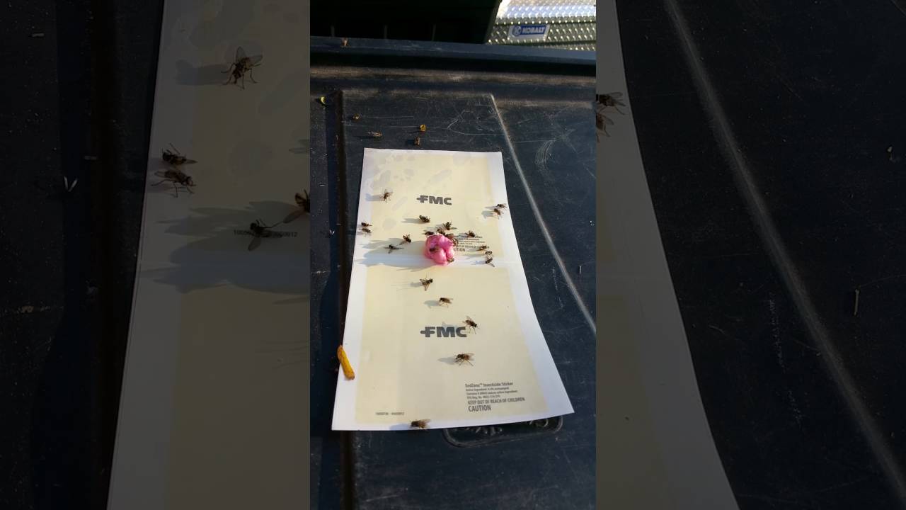 FMC END ZONE Insecticide Sticker - YouTube