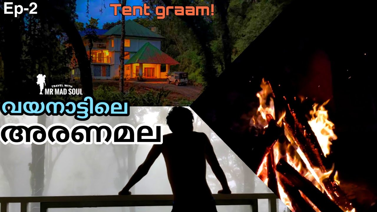 അരണമലയിലെ ടെന്റ്ഗ്രാമിൽ ഒരു ദിവസം😍 | Aranamala tentgram|wayanad ...